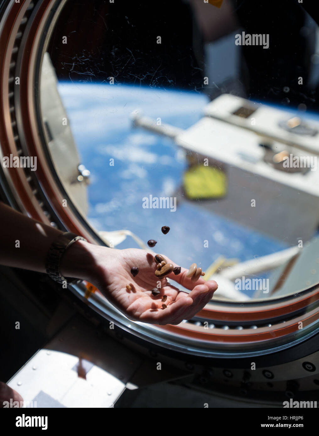Nasa space food hi-res stock photography and images - Alamy