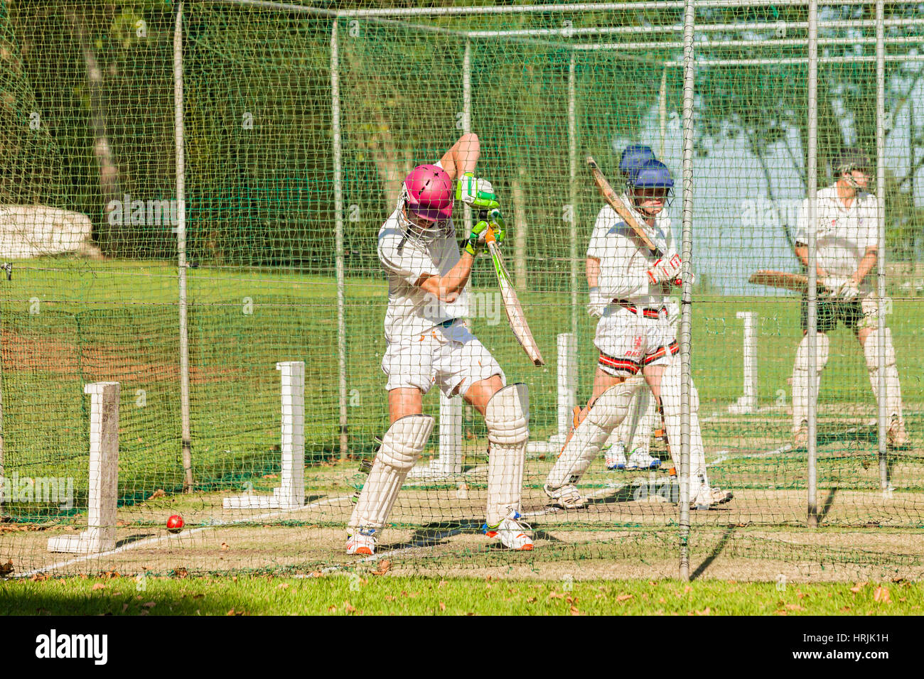 Cricket action practice hi-res stock photography and images - Alamy