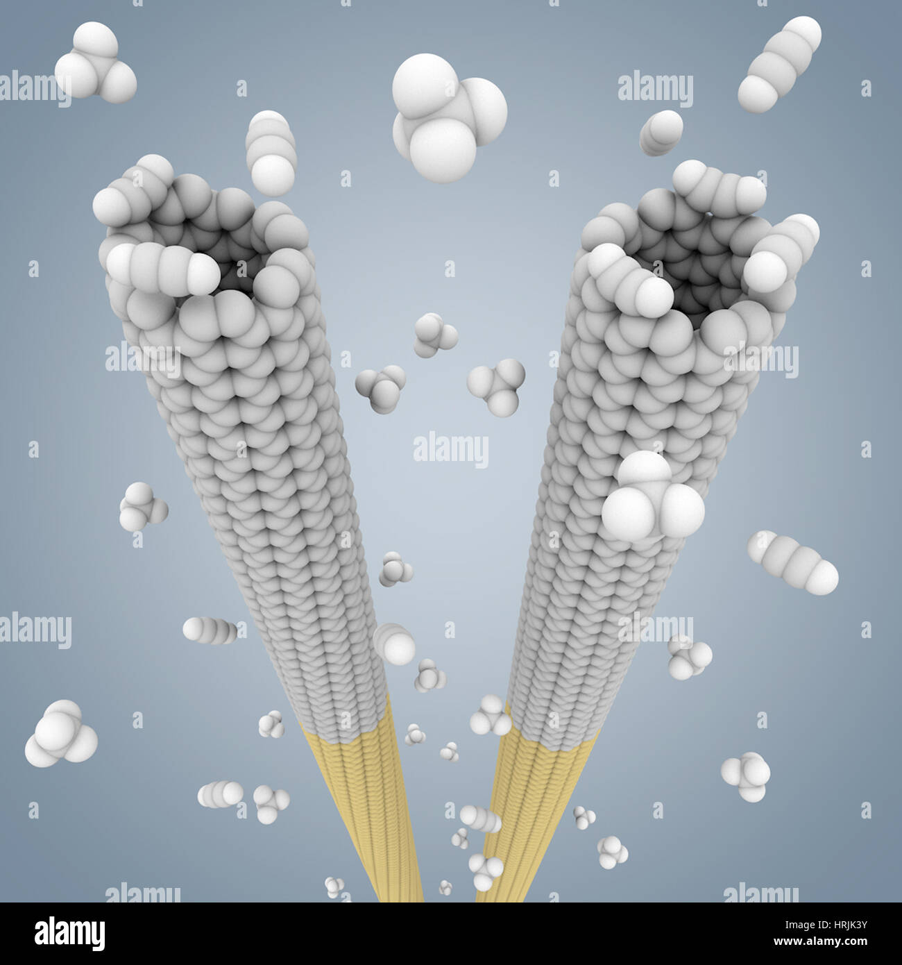 Cloning Carbon Nanotubes Stock Photo - Alamy