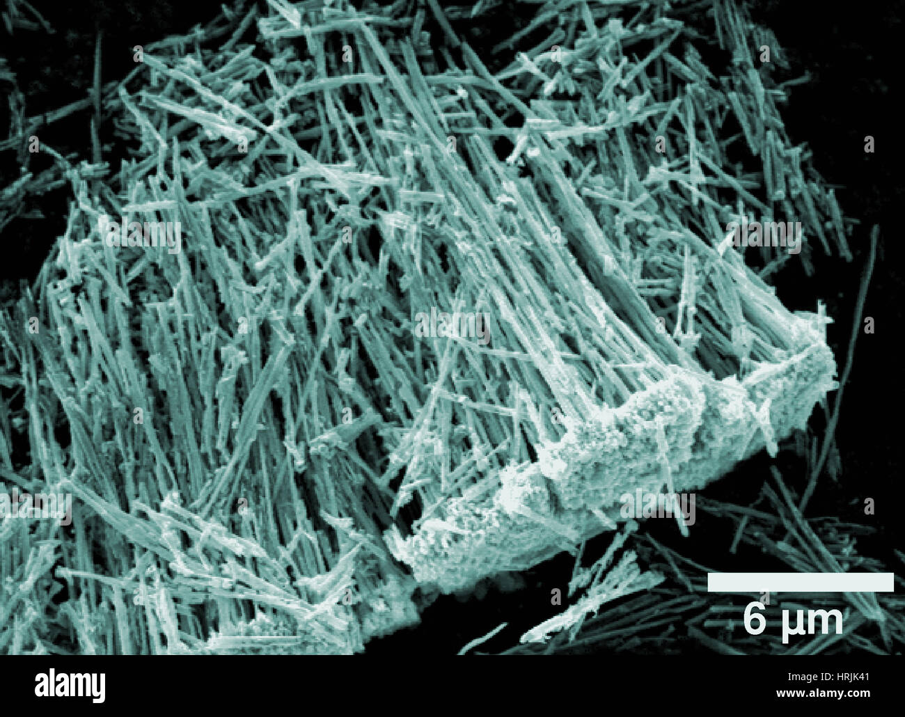 Micrograph metal hi-res stock photography and images - Alamy