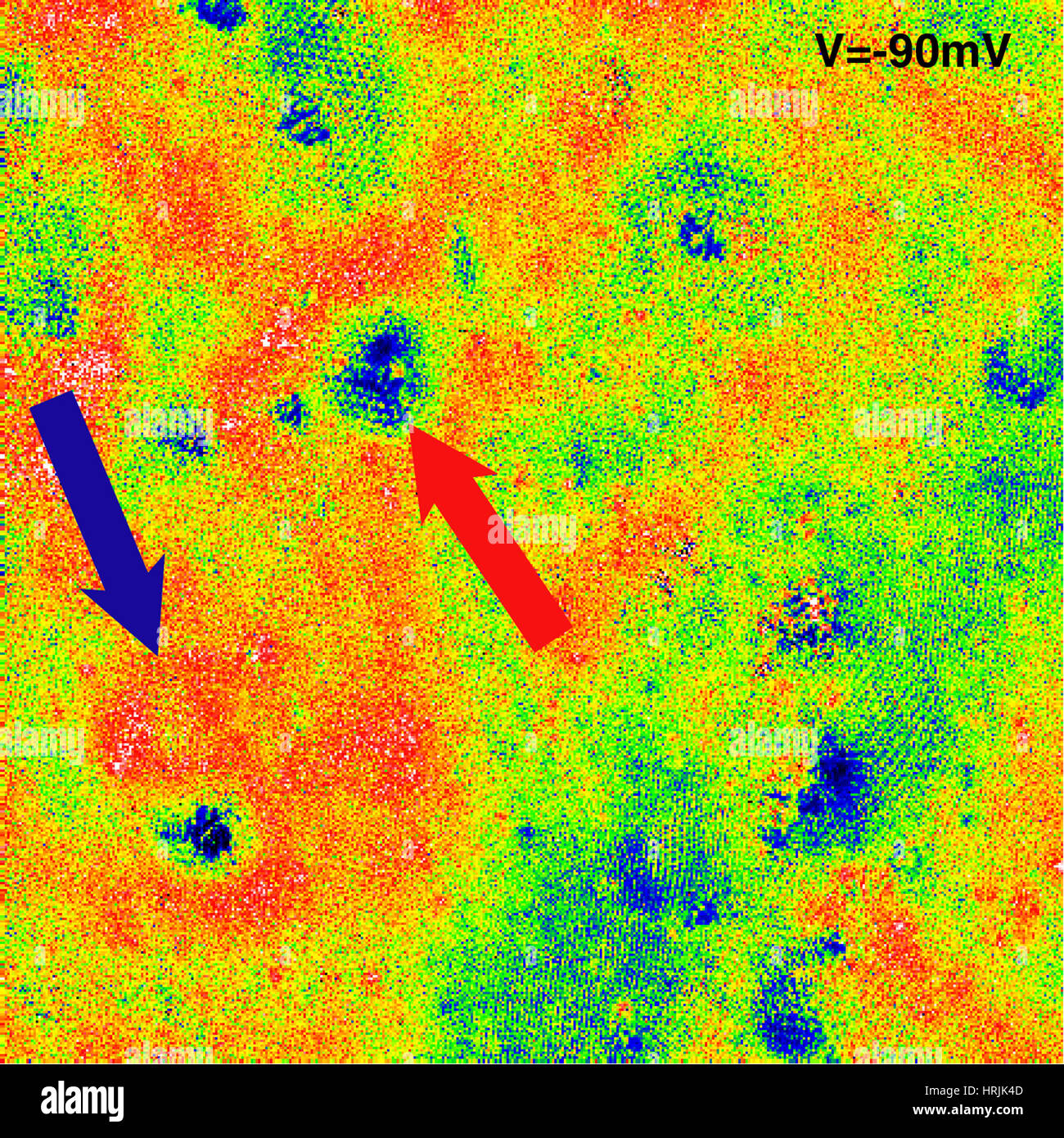 Scanning tunneling microscope hi-res stock photography and images - Alamy