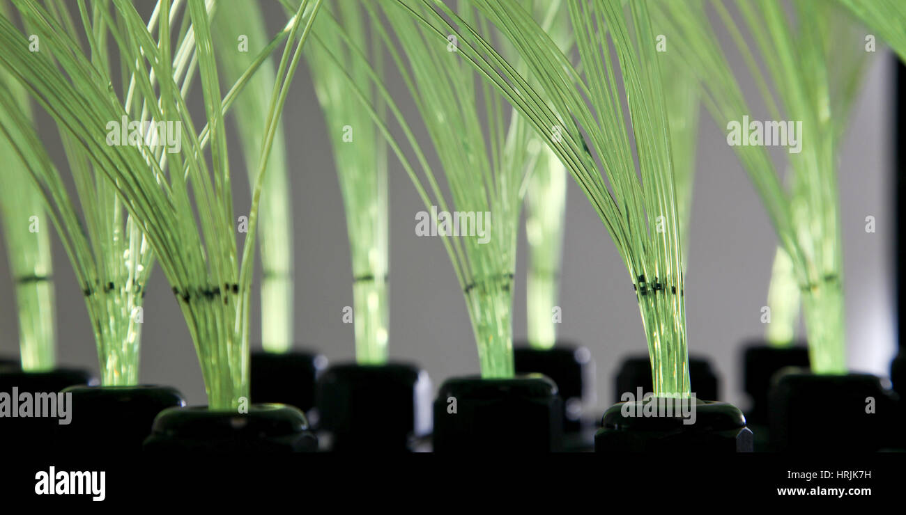 Optical module hi-res stock photography and images - Alamy