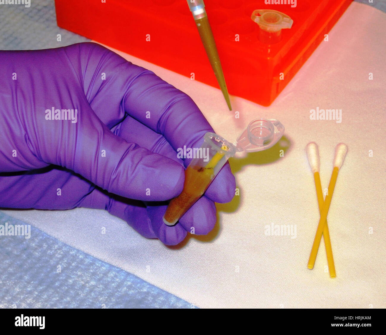 National forensic laboratory hi-res stock photography and images - Alamy