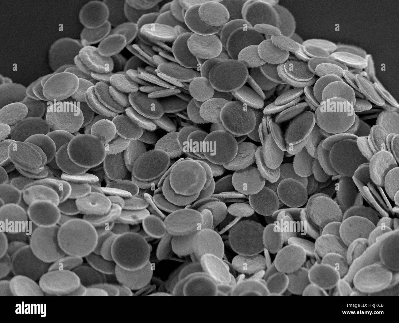 Cancer treatment with nanotechnology Black and White Stock Photos ...