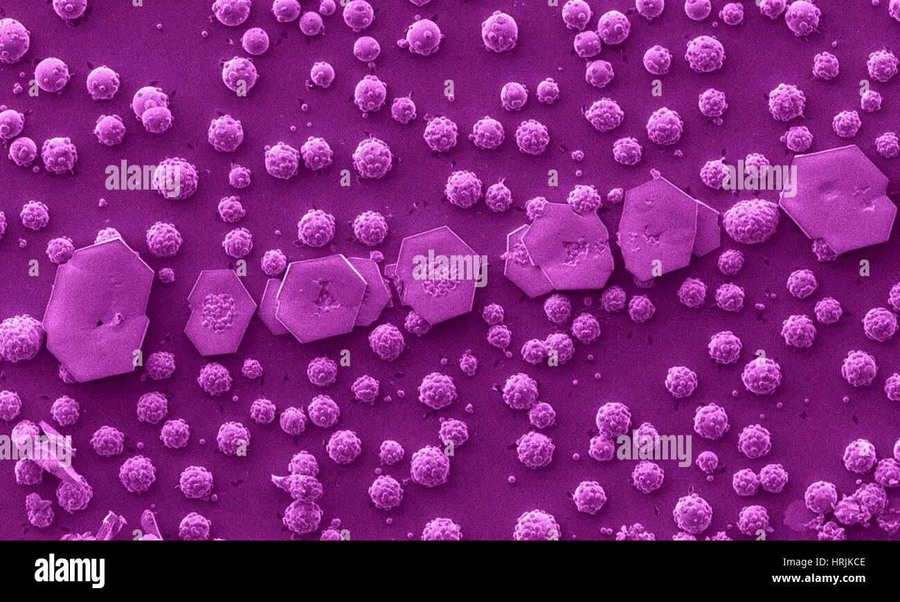 Nanocrystals hi-res stock photography and images - Alamy