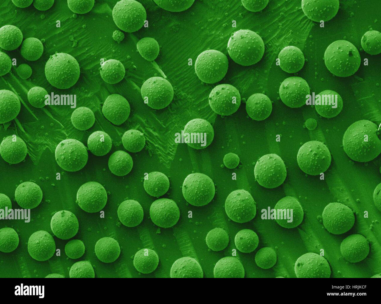Nanocrystal Superlattices, SEM Stock Photo - Alamy
