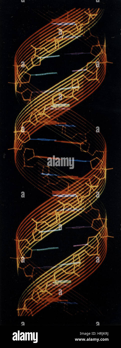 Double Helix, Genetic Script Structure Stock Photo - Alamy