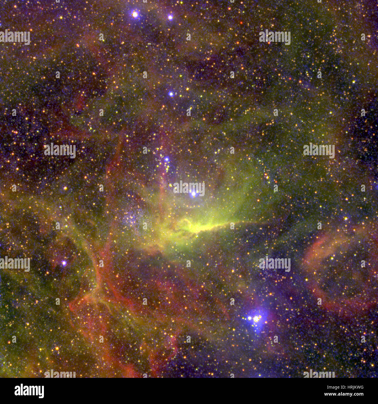 Bat99 49 hi-res stock photography and images - Alamy