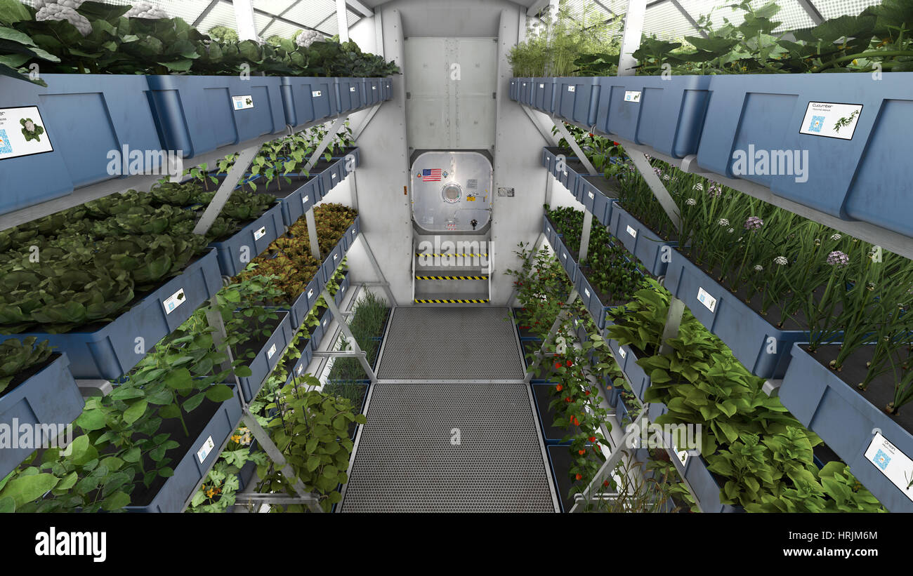 The garden of astronomy hi-res stock photography and images - Alamy