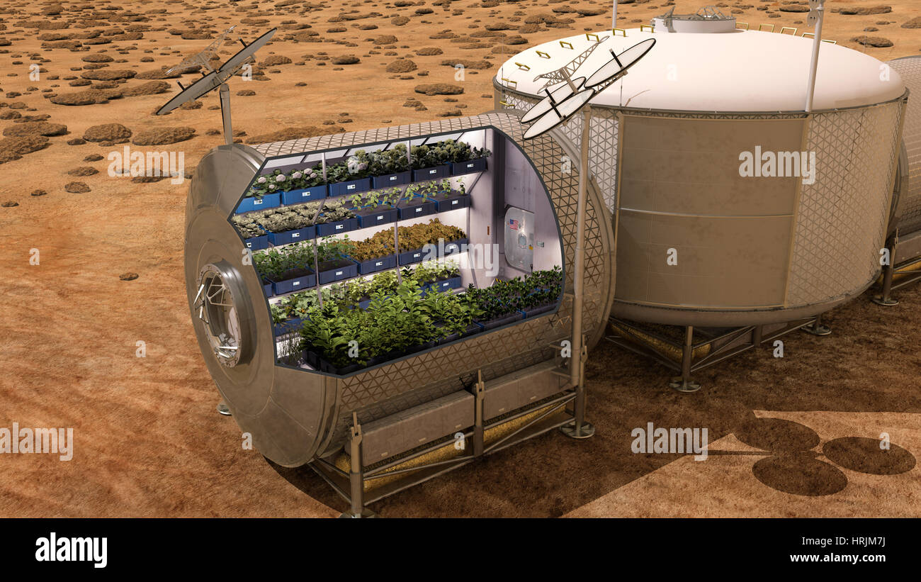 Vegetable Garden on Mars Stock Photo - Alamy