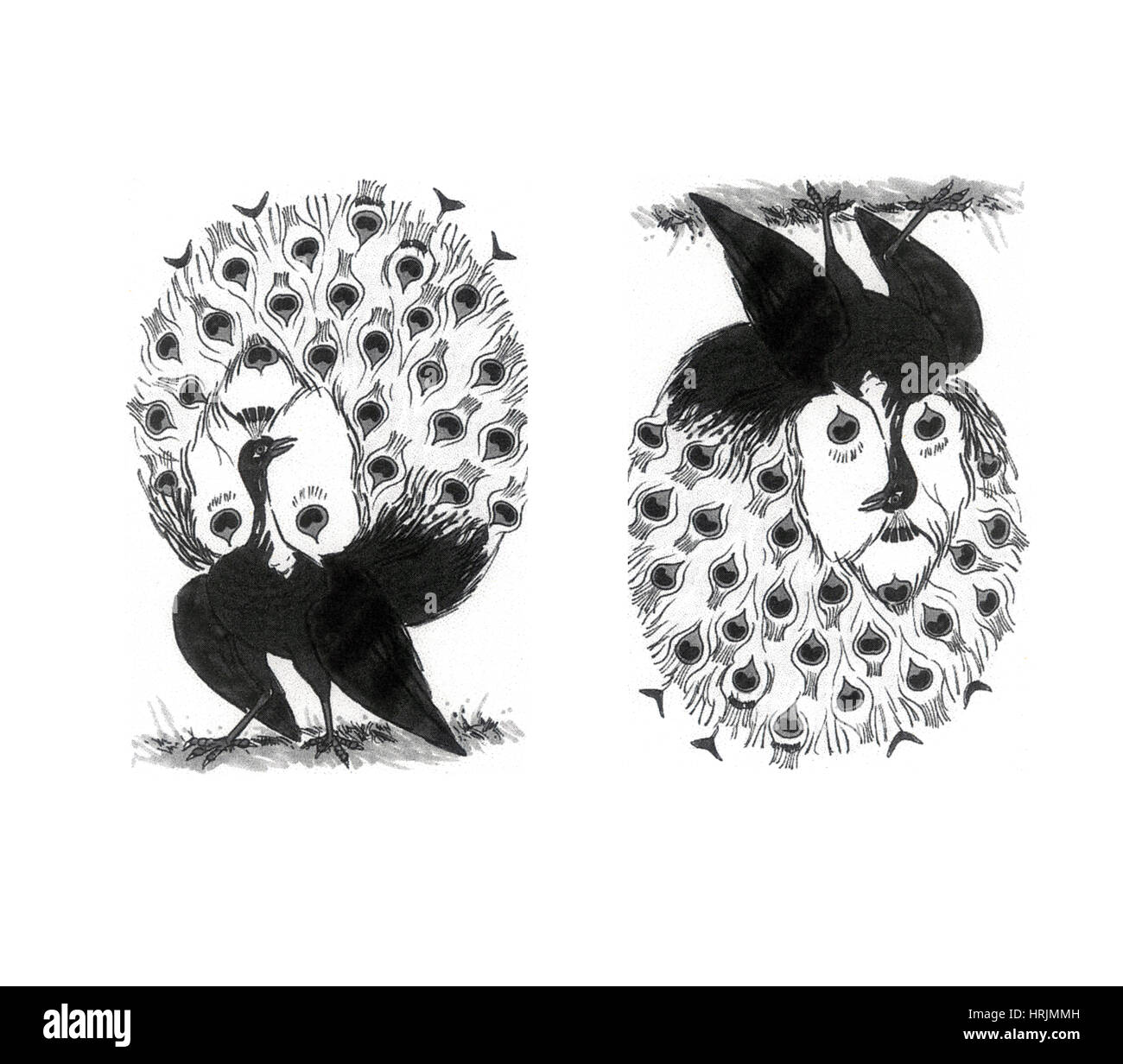 Optical illusion Cut Out Stock Images & Pictures - Alamy