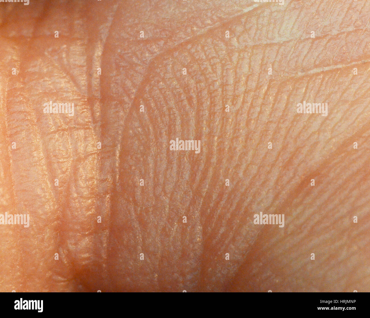 Moisturized Skin, Close-up, 2 of 2 Stock Photo - Alamy
