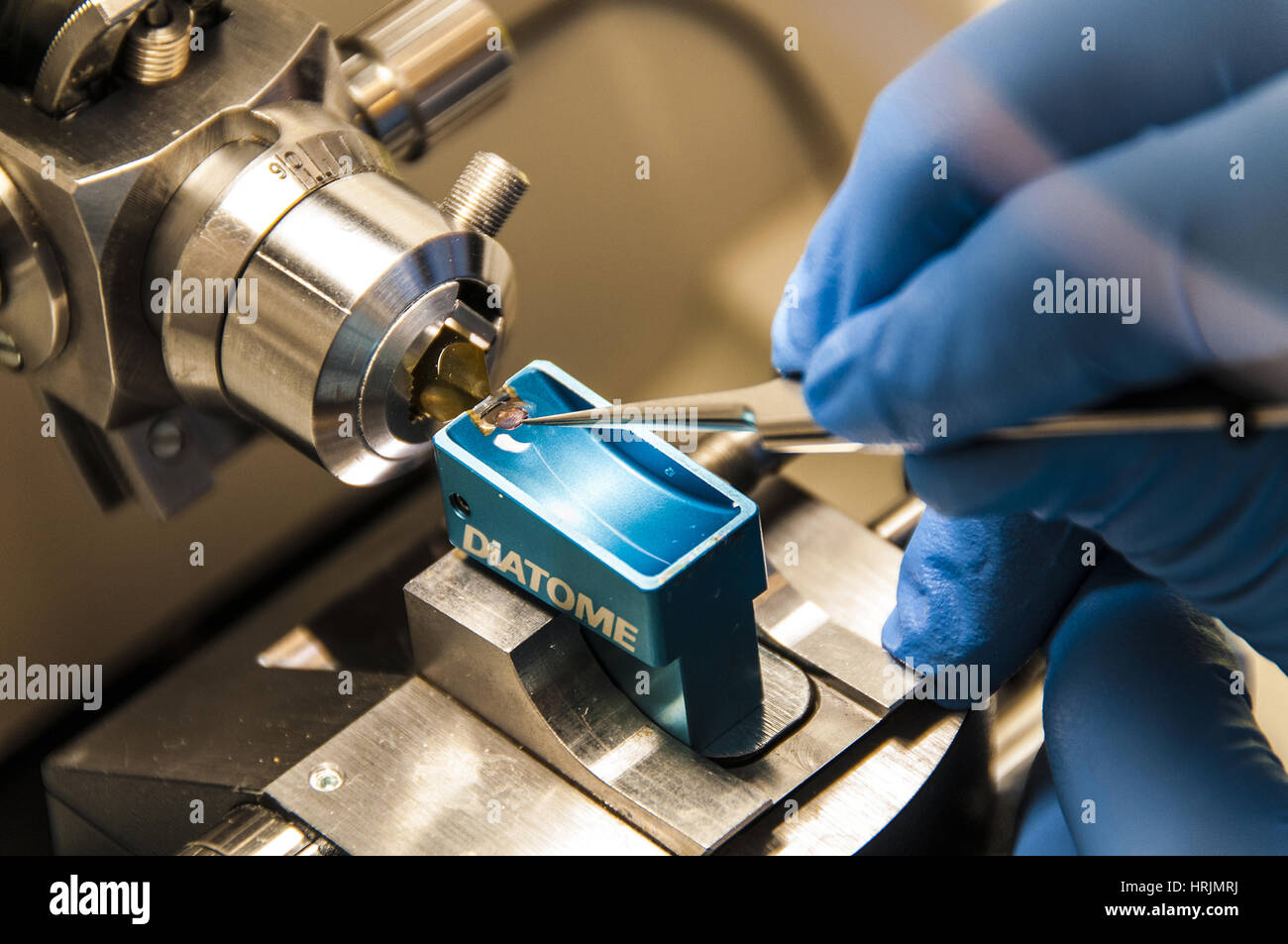 Microtome hi-res stock photography and images - Alamy
