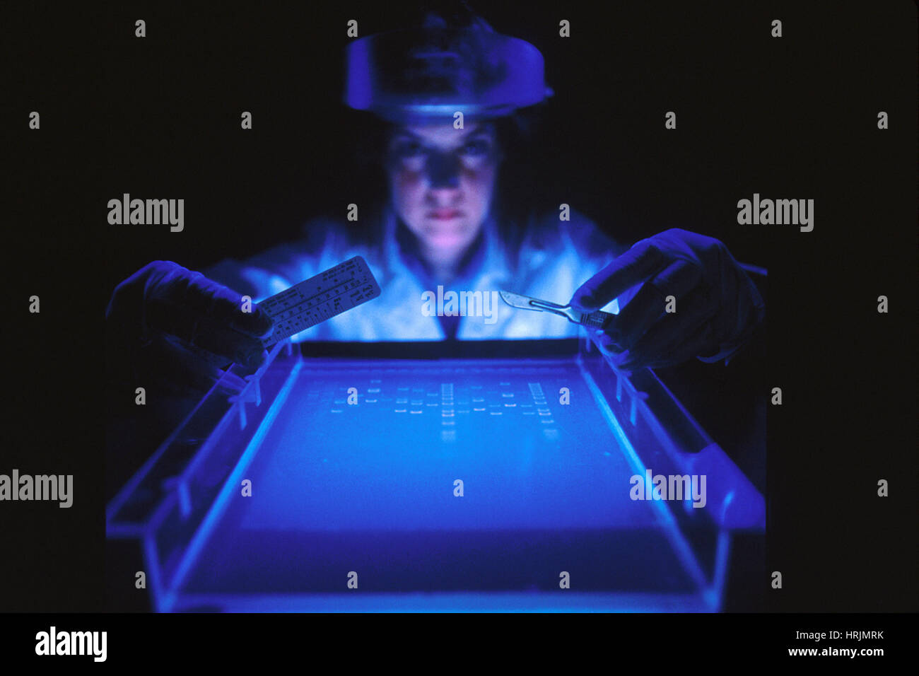 Dna map and scientist hi-res stock photography and images - Alamy
