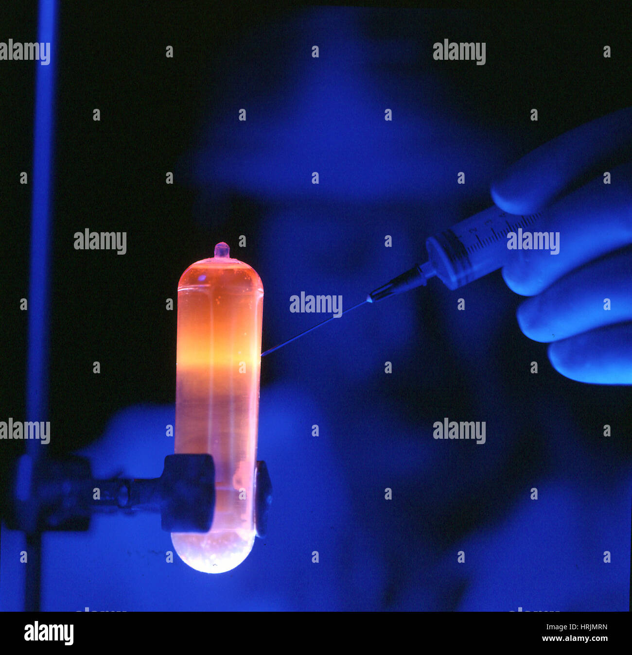 Dna isolation hi-res stock photography and images - Alamy