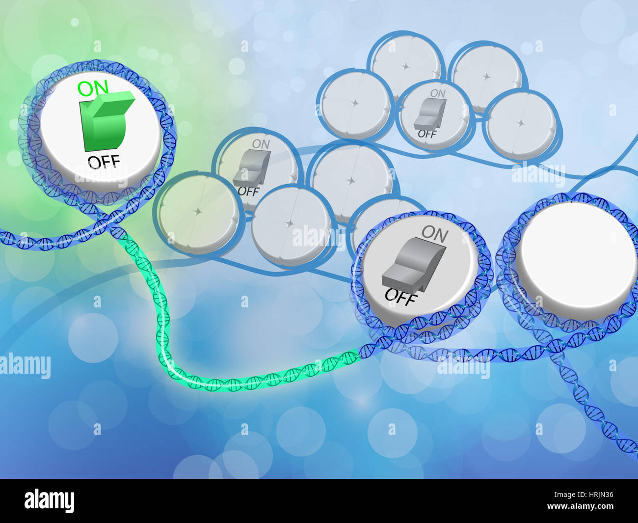Chromatin Mapping to Identify Genetic Switches Stock Photo - Alamy