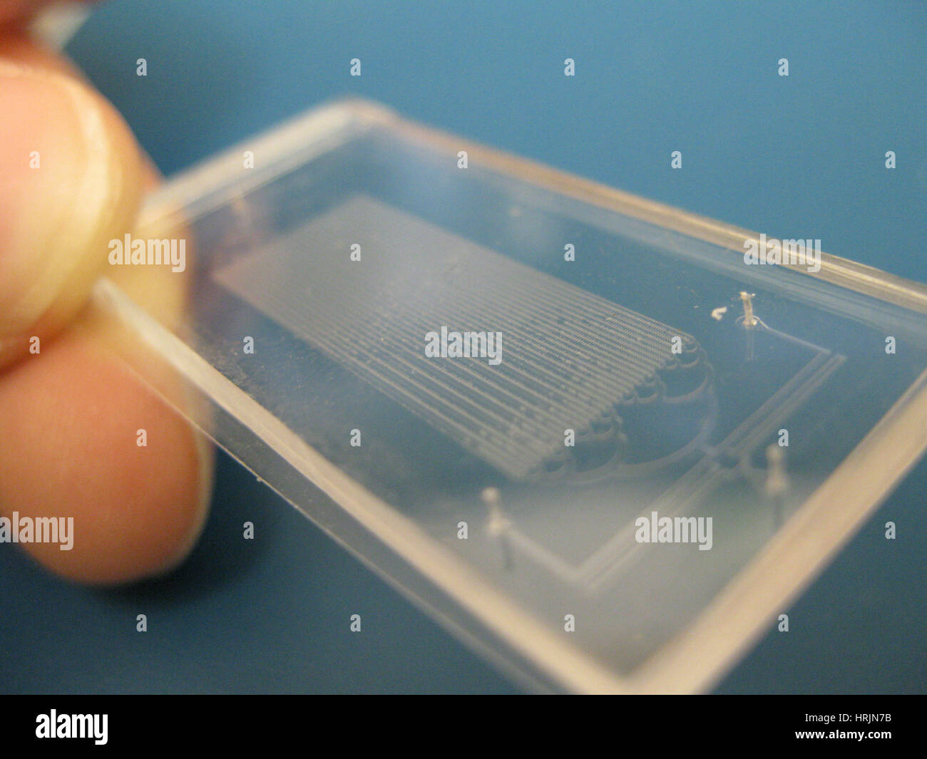 Bacteria research microfluidic chip hi-res stock photography and images ...