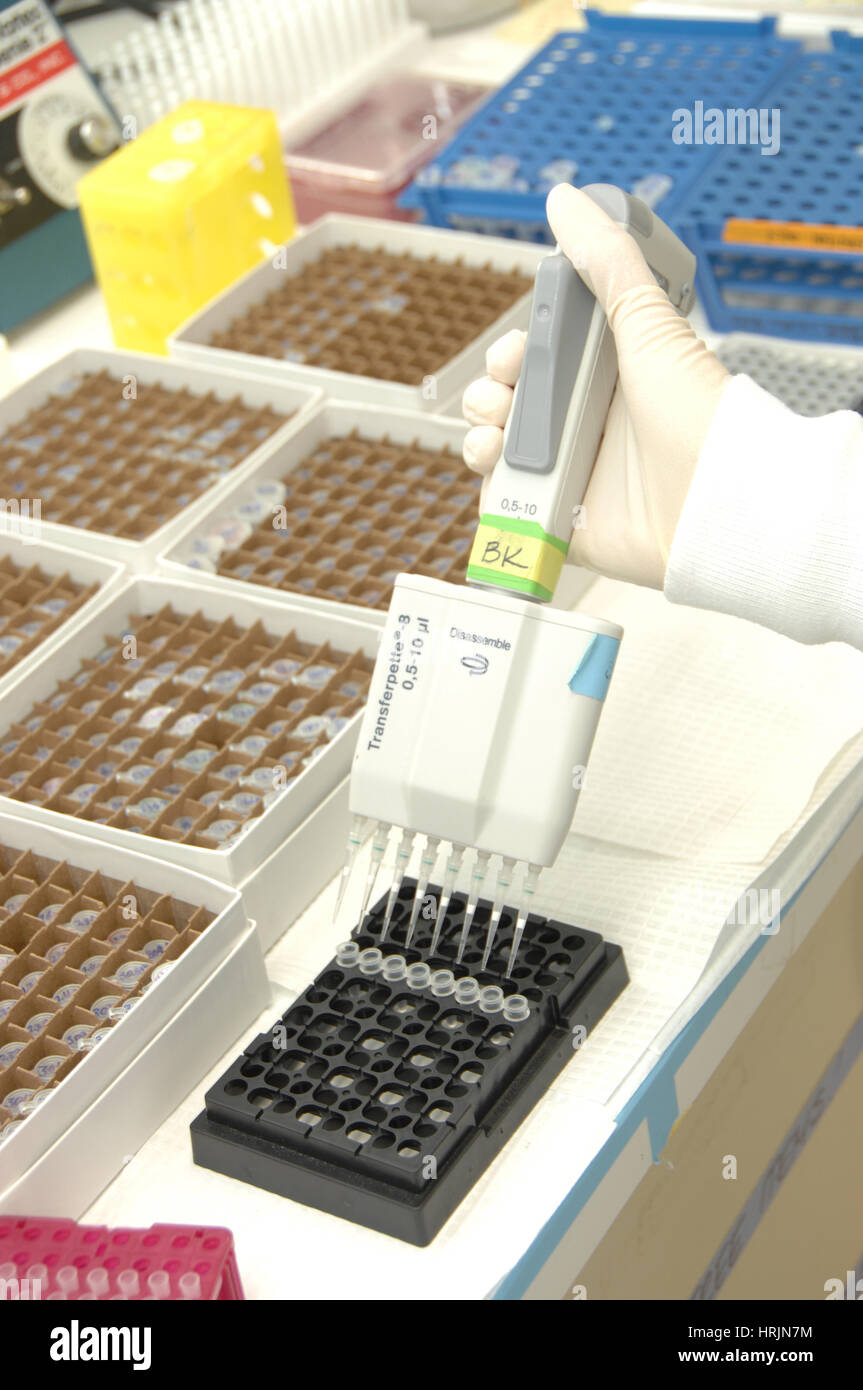 Multi channel pipette hi-res stock photography and images - Alamy