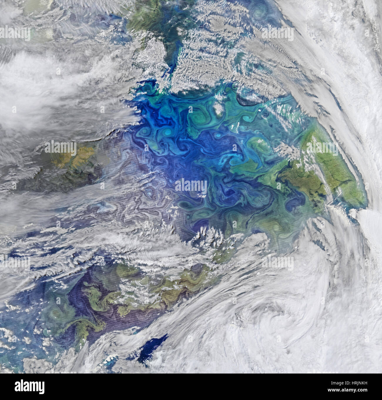 Phytoplankton ocean bloom hi-res stock photography and images - Alamy