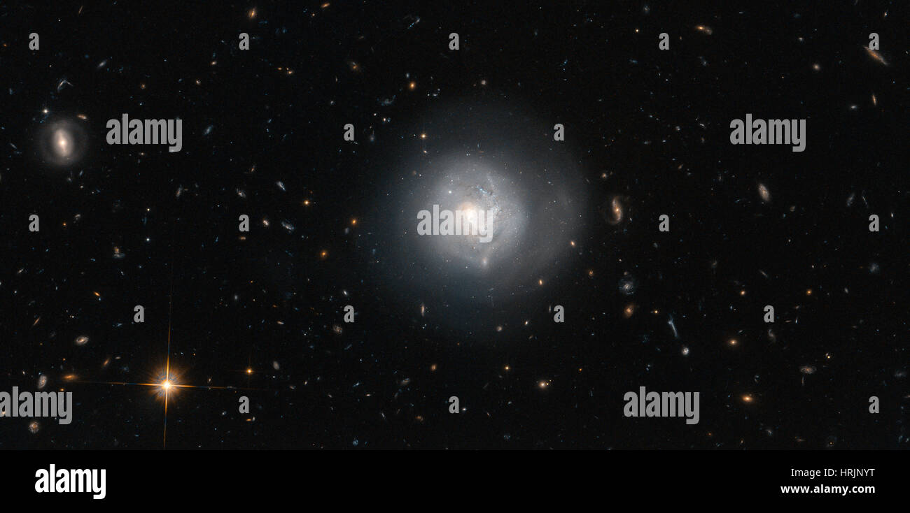 Eridanus Void Hubble