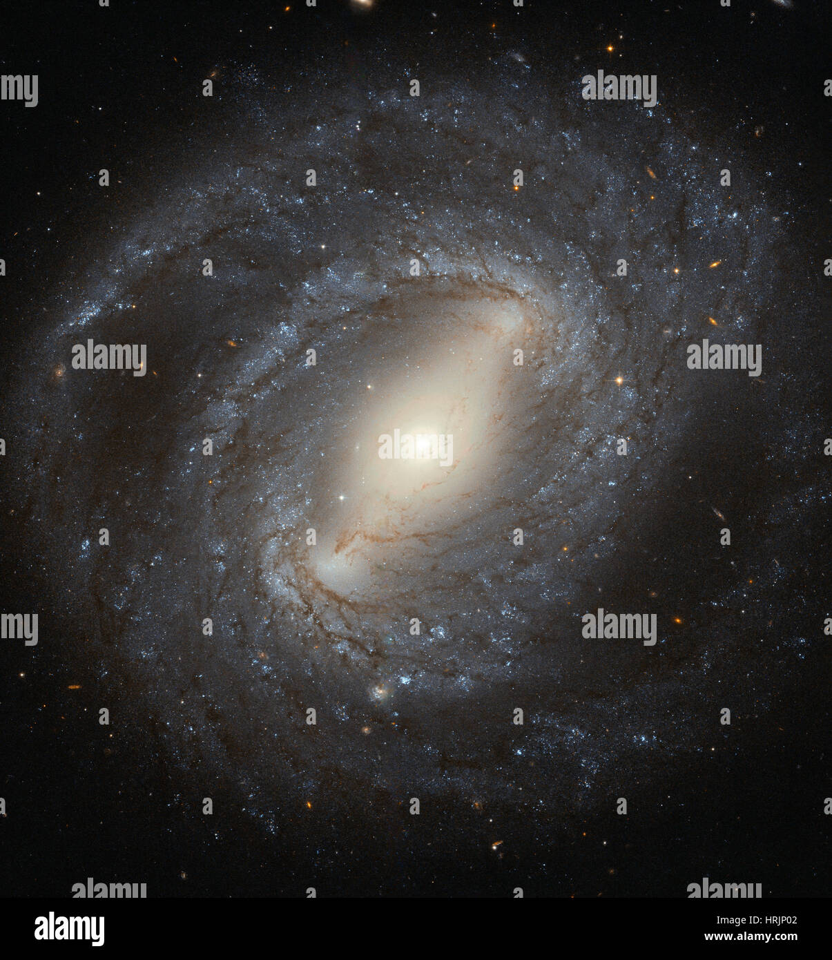 Barred Spiral Galaxy NGC 4394 Stock Photo - Alamy