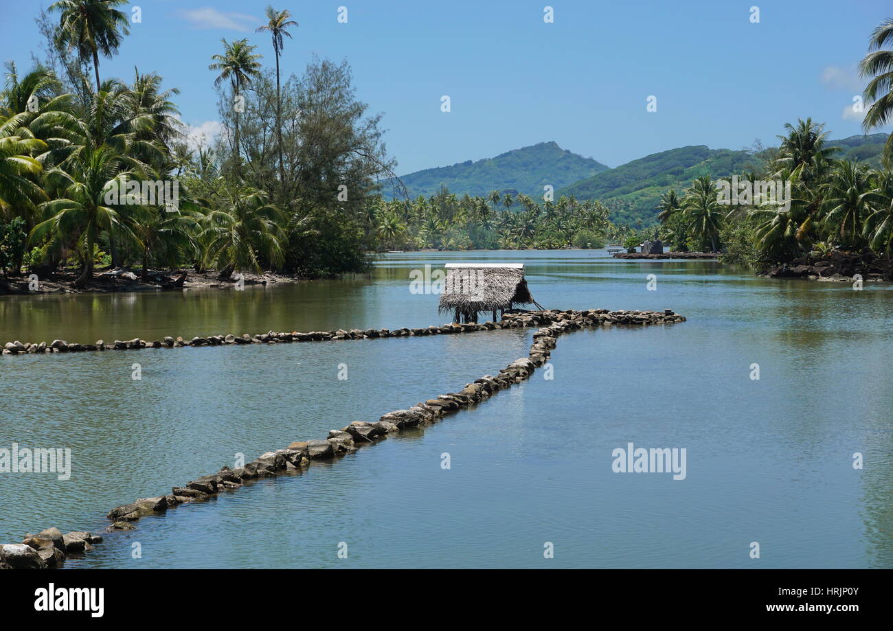 Traditional fish trap hi-res stock photography and images - Alamy