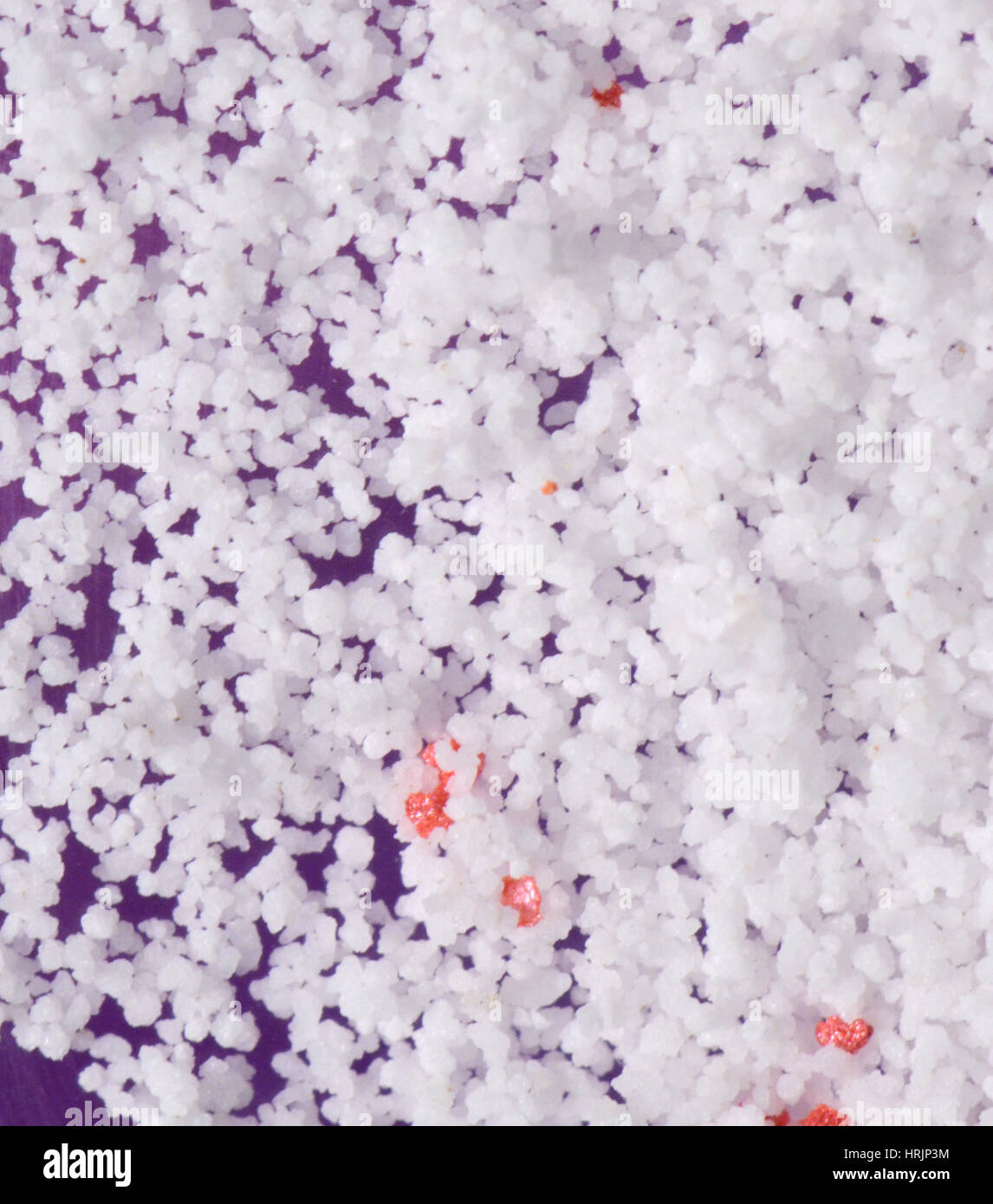 Plastic microspheres hi-res stock photography and images - Alamy