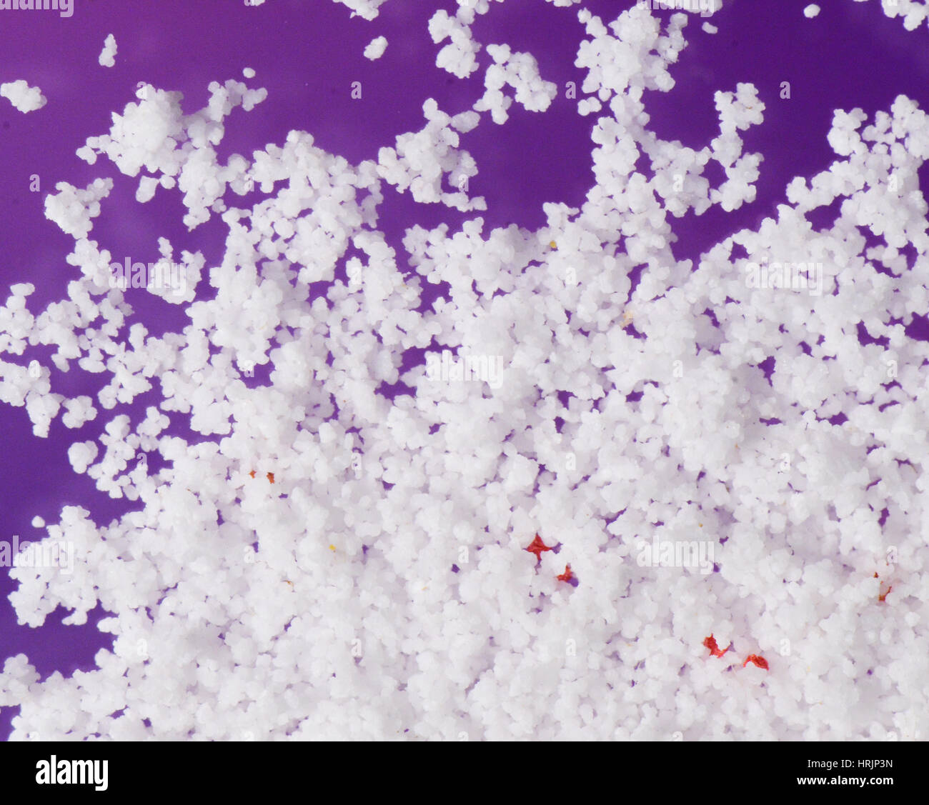 Micro photograph hi-res stock photography and images - Alamy