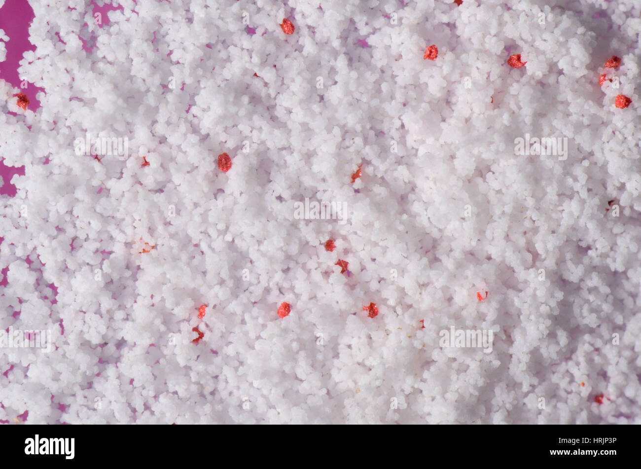 Micro photograph hi-res stock photography and images - Alamy