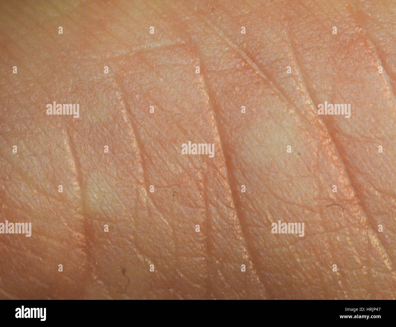 Moistened Skin, Close-Up Stock Photo - Alamy