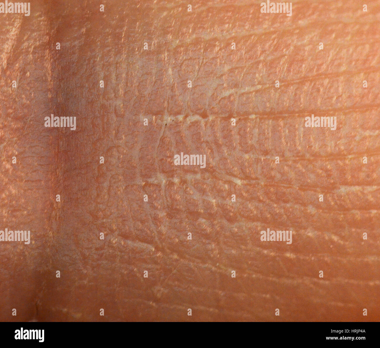 Moistened Skin, Close-Up Stock Photo - Alamy