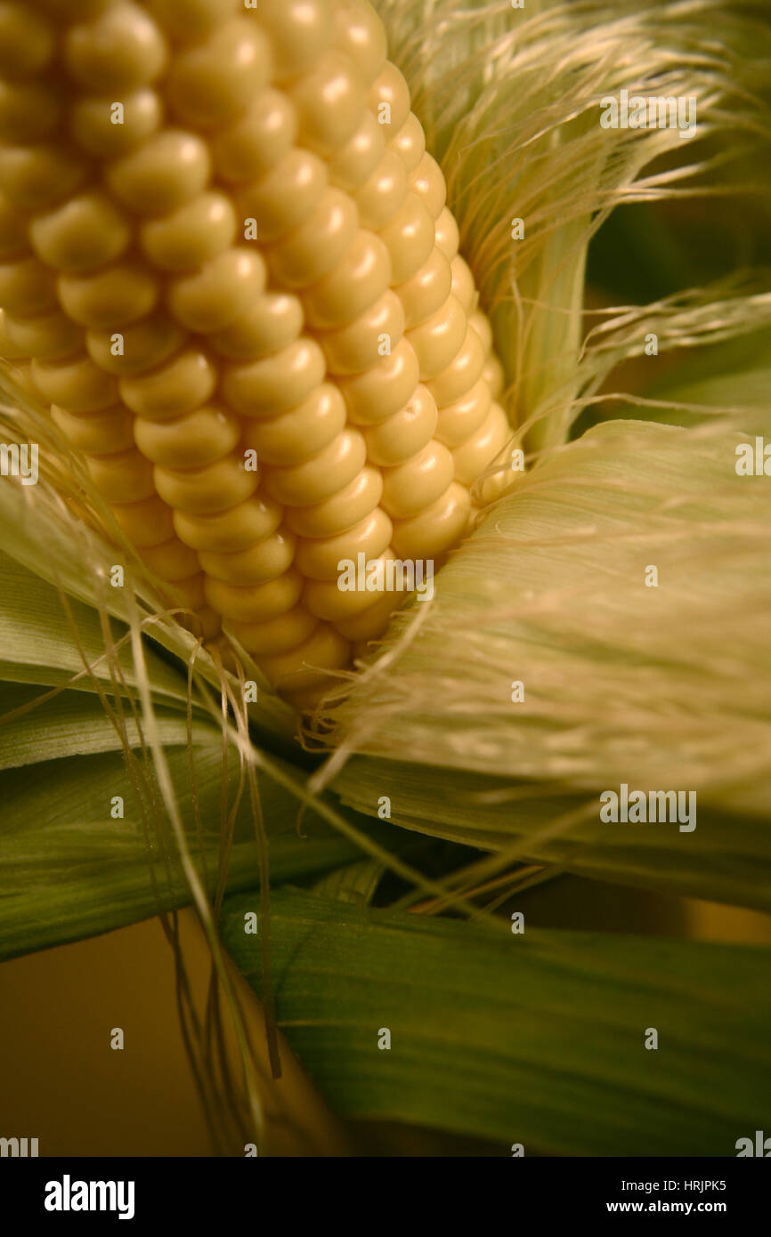 Healthy Food, Vegetable, Ear of Corn Stock Photo - Alamy