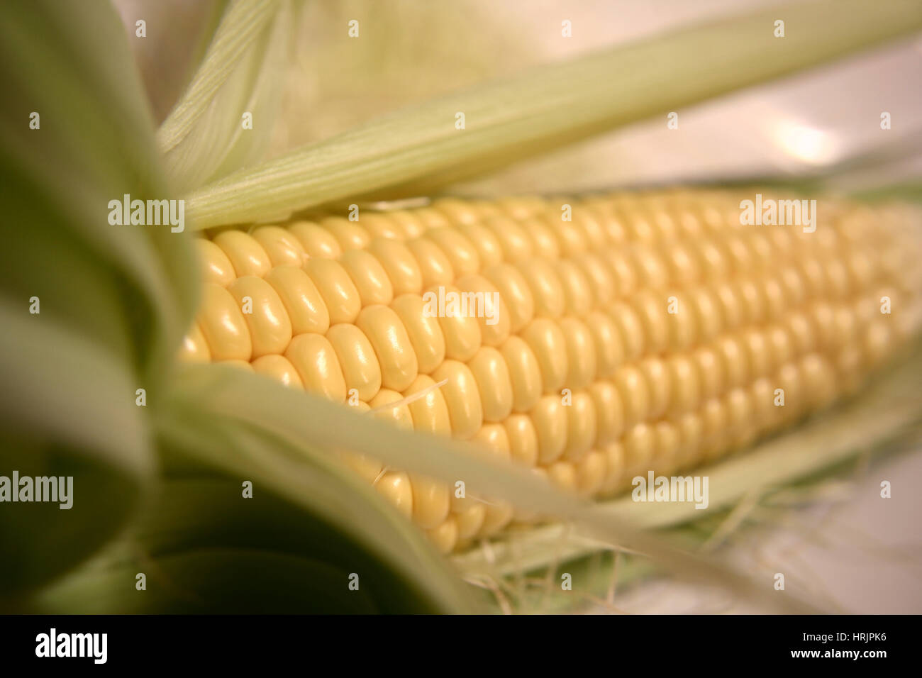 Healthy Food, Vegetable, Ear of Corn Stock Photo - Alamy