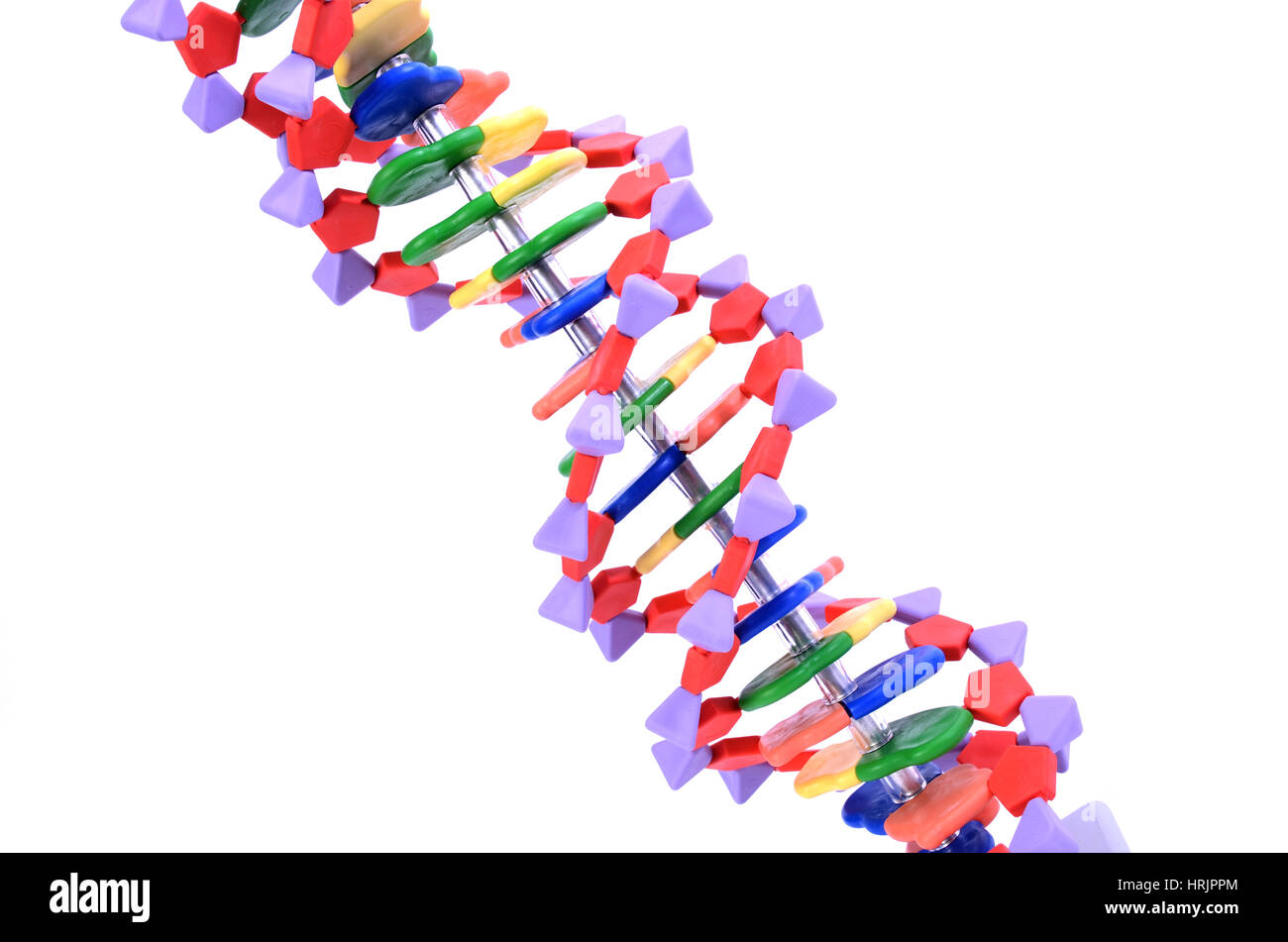 Double Helix DNA Molecular Model Stock Photo - Alamy