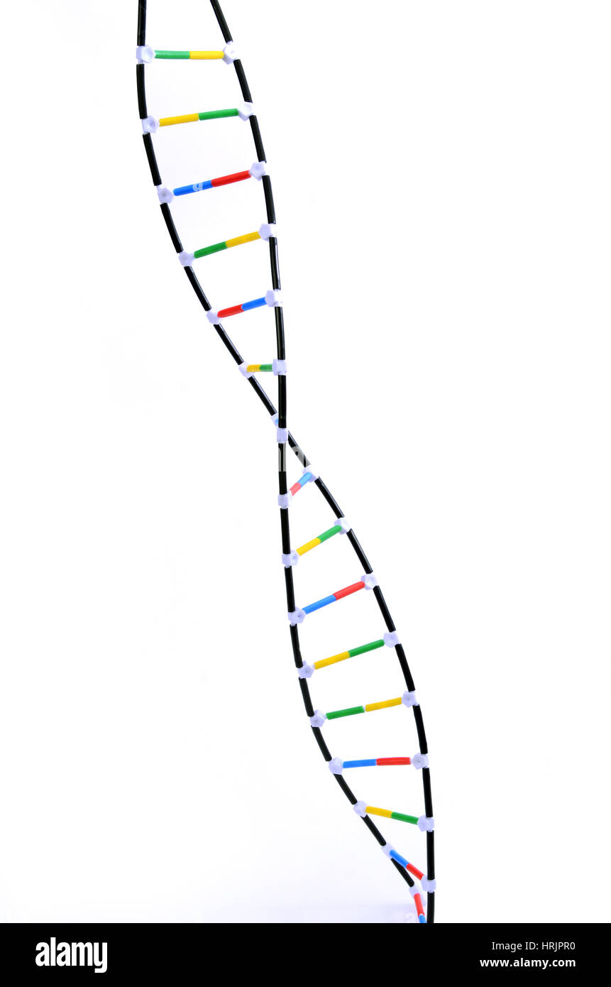 Double Helix DNA Model Stock Photo - Alamy