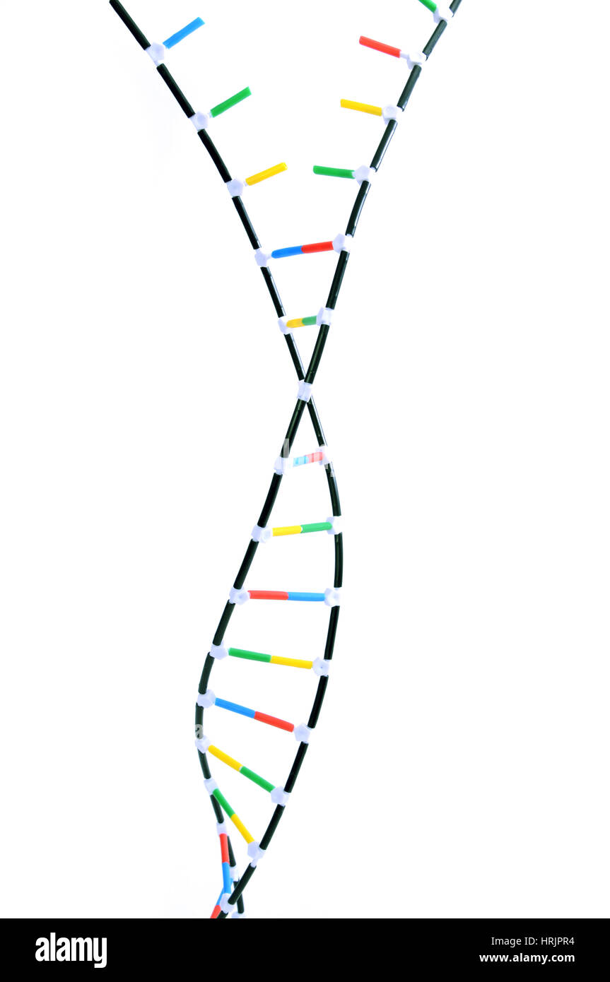 Still model Cut Out Stock Images & Pictures - Alamy