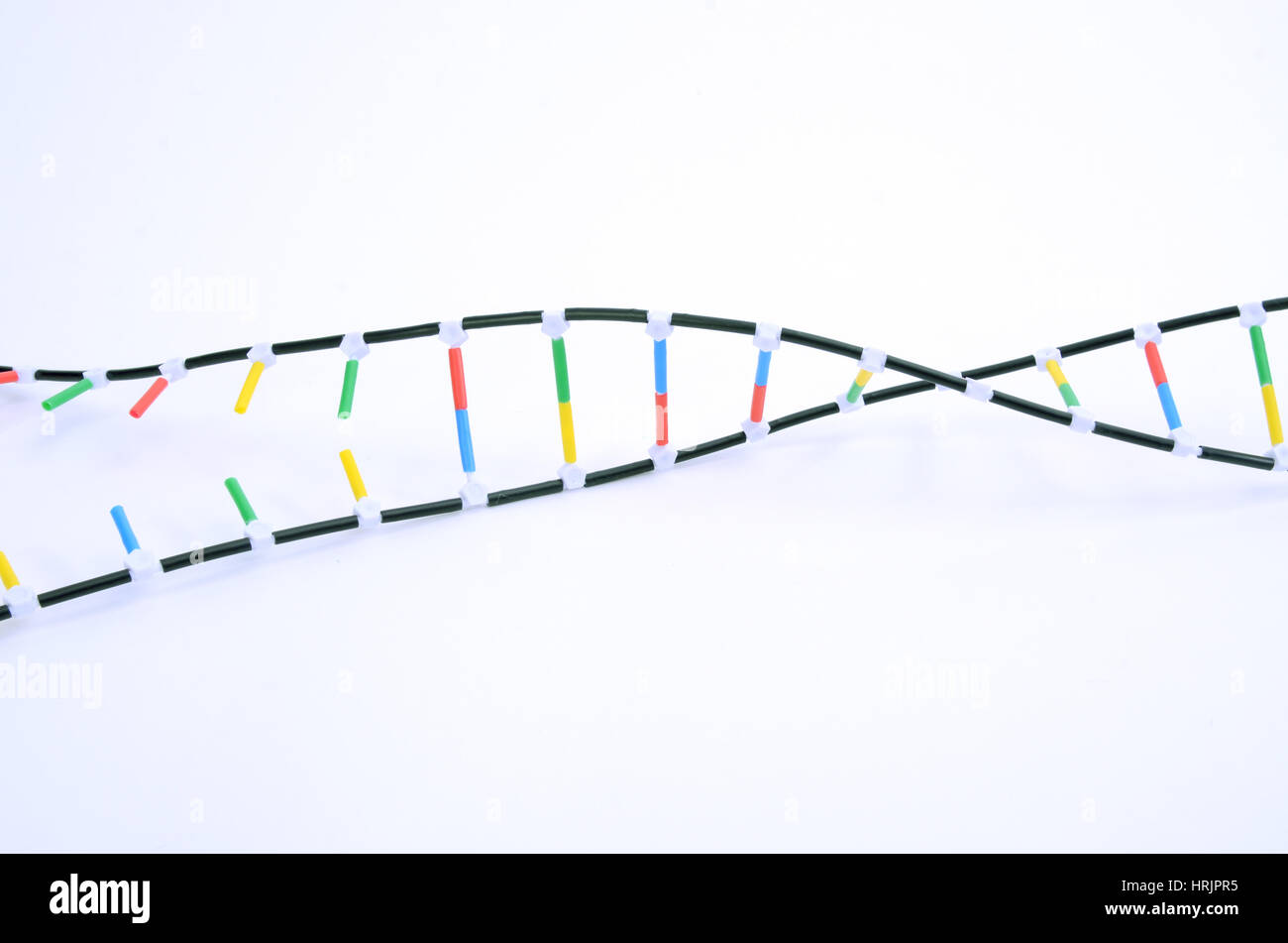 Double Helix DNA Model Stock Photo - Alamy