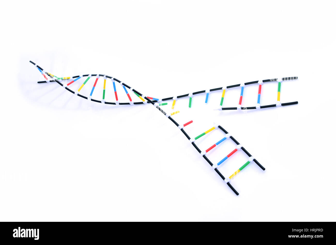 Double Helix DNA Model Stock Photo - Alamy