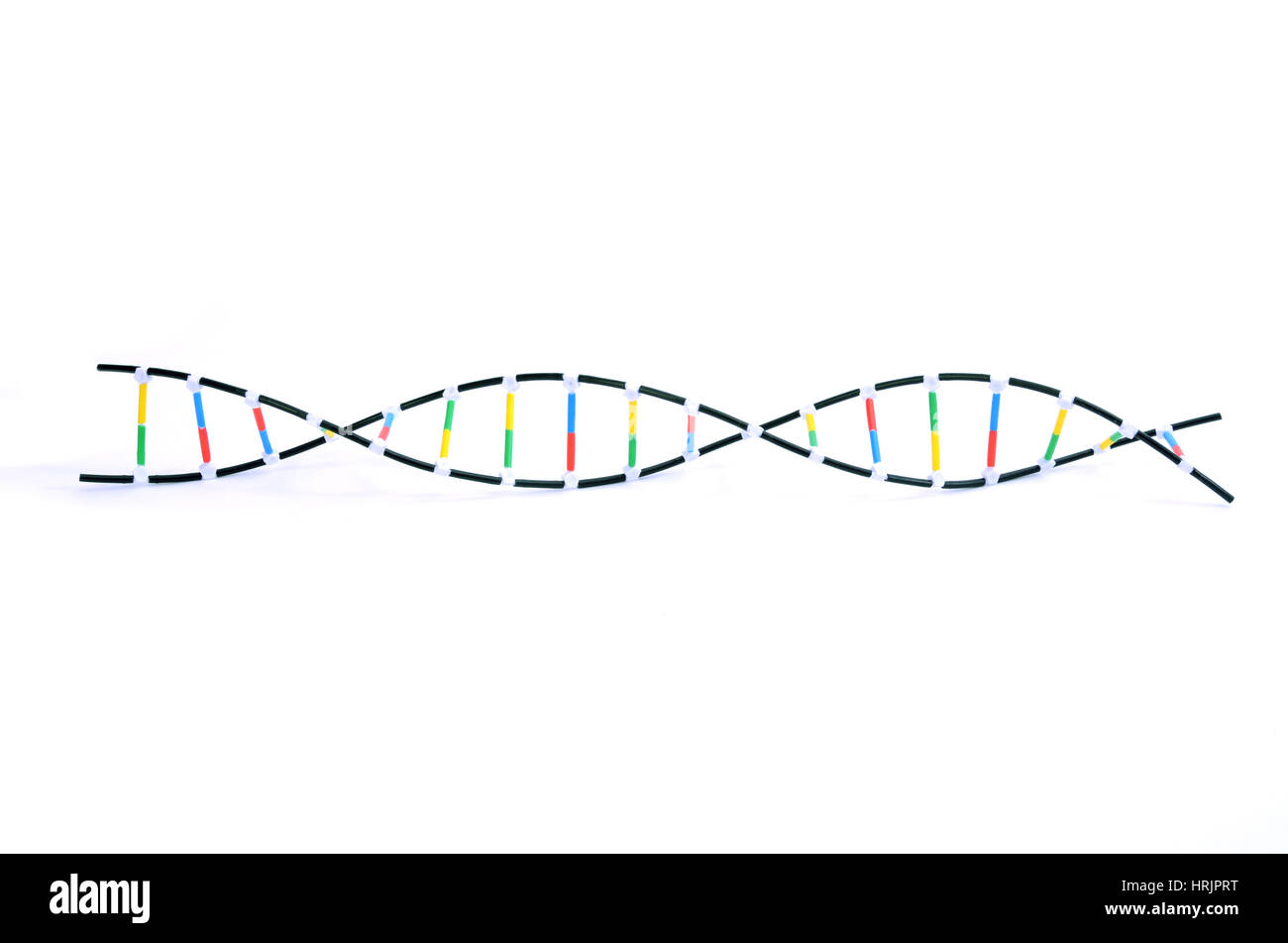 Double Helix DNA Model Stock Photo - Alamy