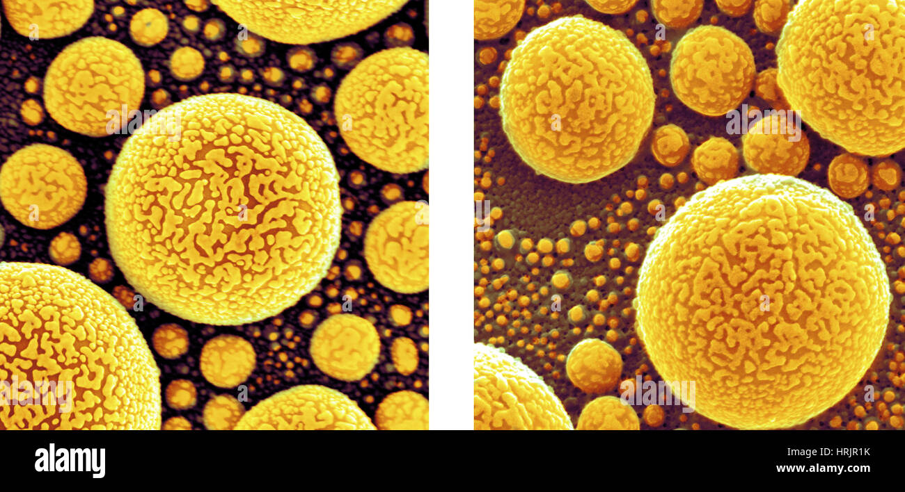 Gold Atom Microscope