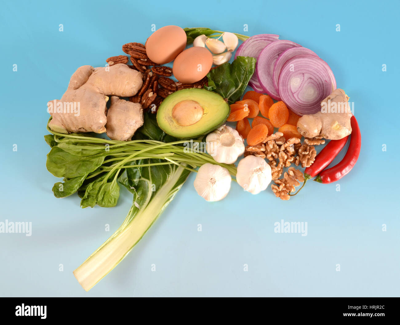 Vegetable brain hi-res stock photography and images - Alamy