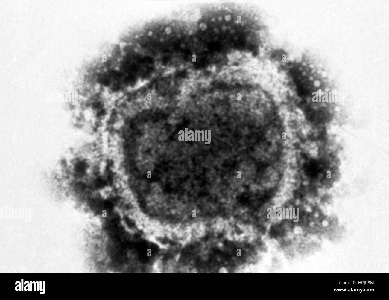 Sequence 2 of 3 Black and White Stock Photos & Images - Alamy