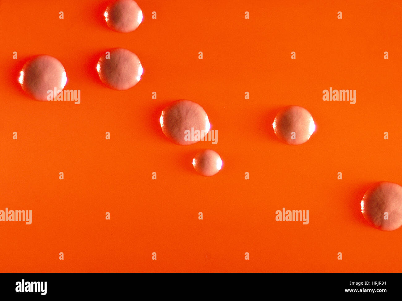 Corynebacterium diphtheriae, Colonial Growth Stock Photo - Alamy