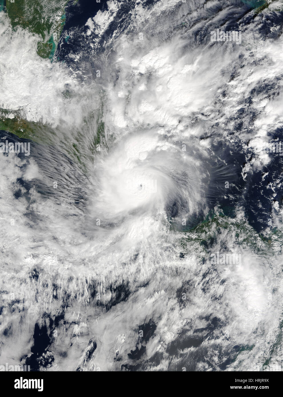 Otto photo hi-res stock photography and images - Alamy