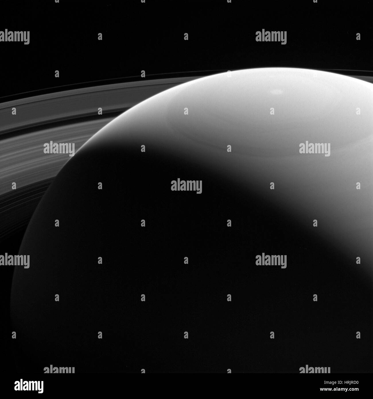 Side he Black and White Stock Photos & Images - Alamy