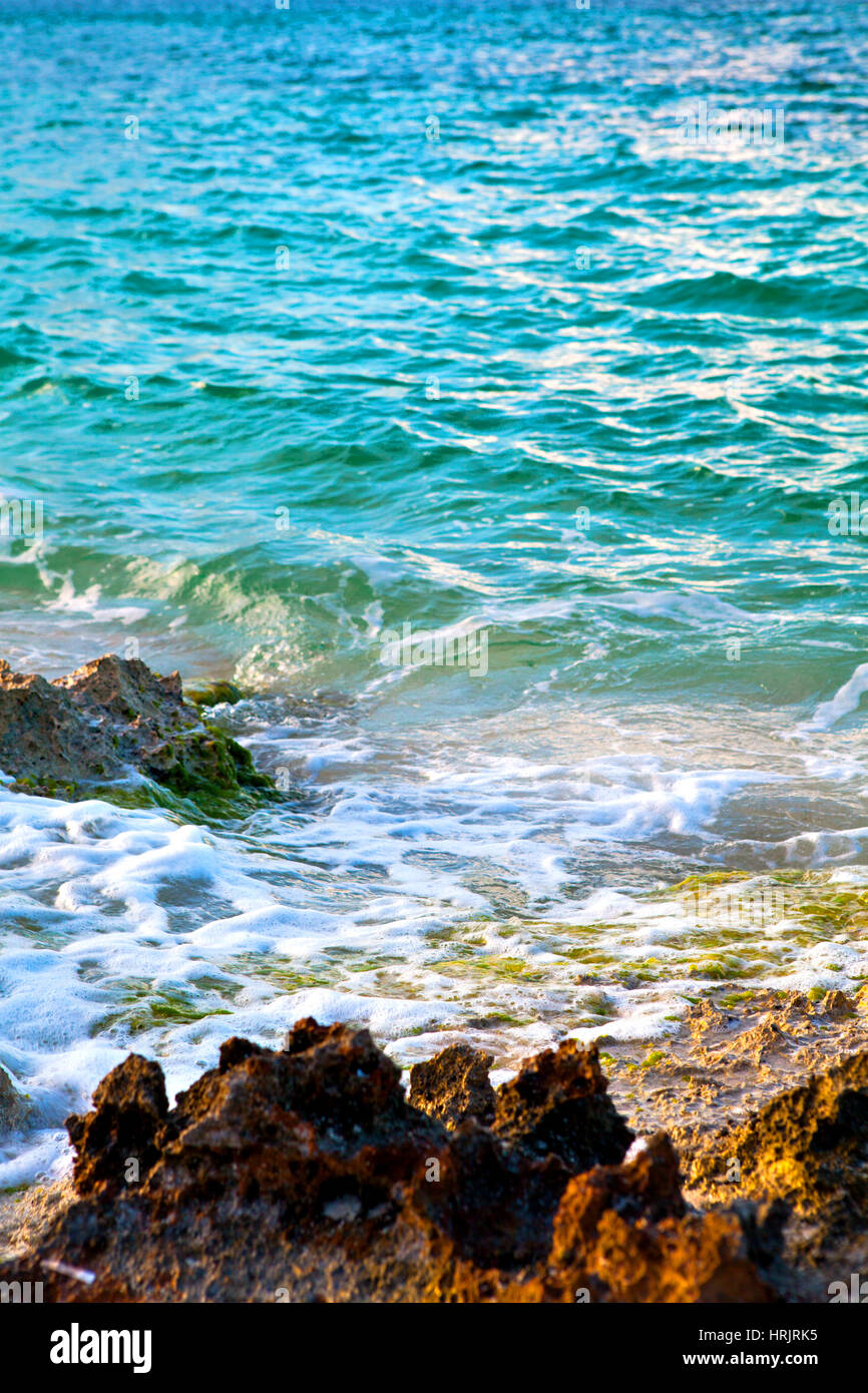 Background shot of clear colorful sea water with waves, close-up Stock ...