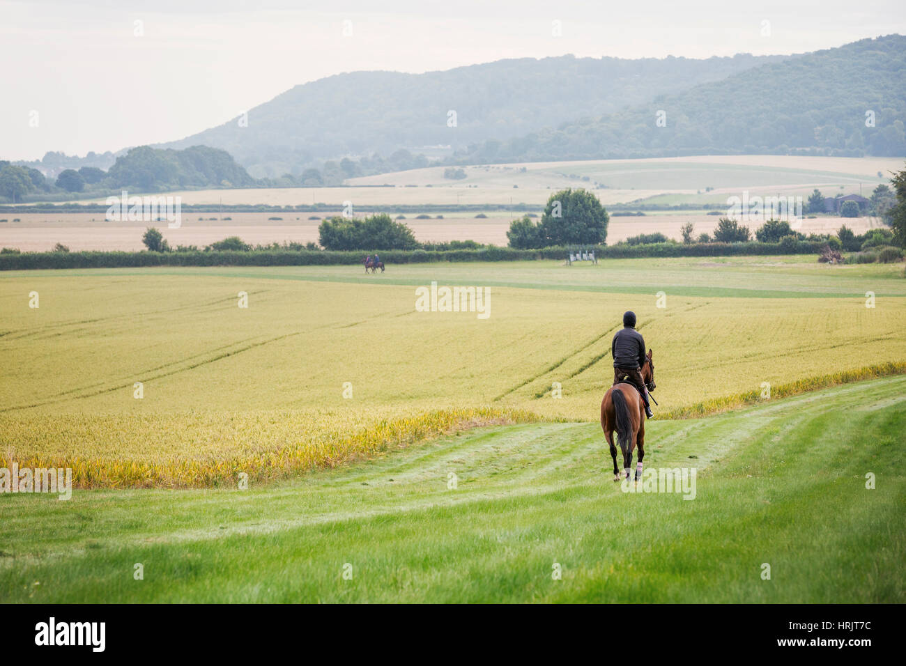 Rear view of a man riding a horse across a field Stock Photo - Alamy