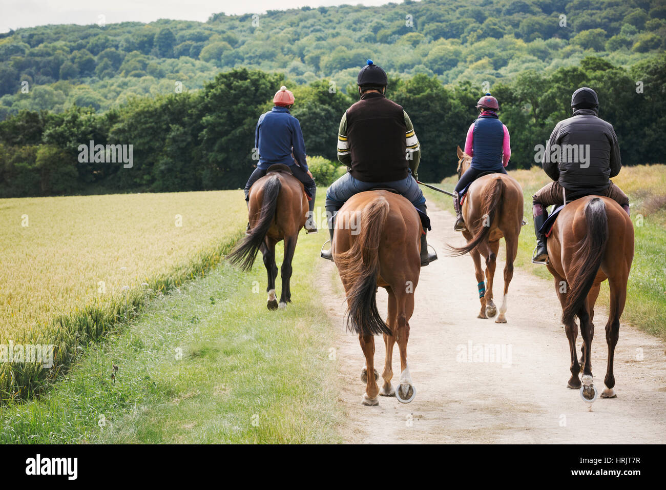 A string or group of riders on thoroughbred horses riding along a path ...