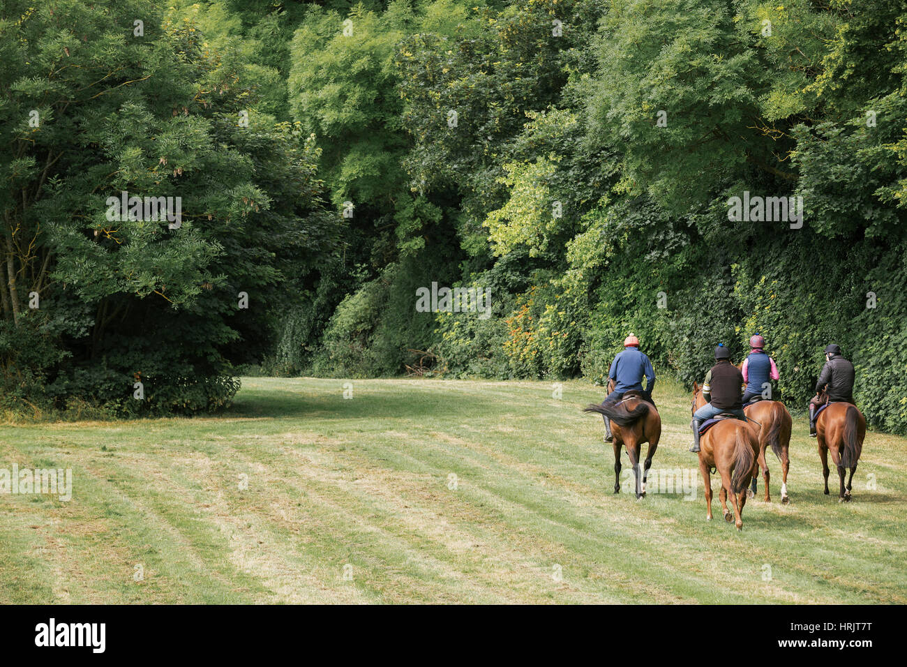 A string or group of riders on thoroughbred horses riding along a path ...