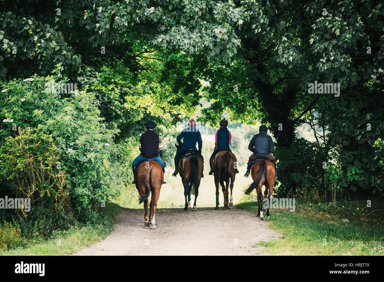 Four riders hi-res stock photography and images - Alamy